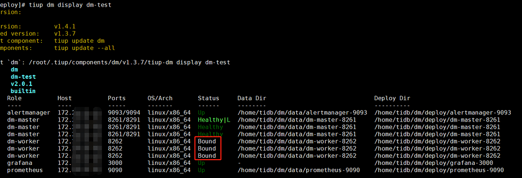 dm-worker 所有节点都处于 bound 状态 - TiDB 的问答社区
