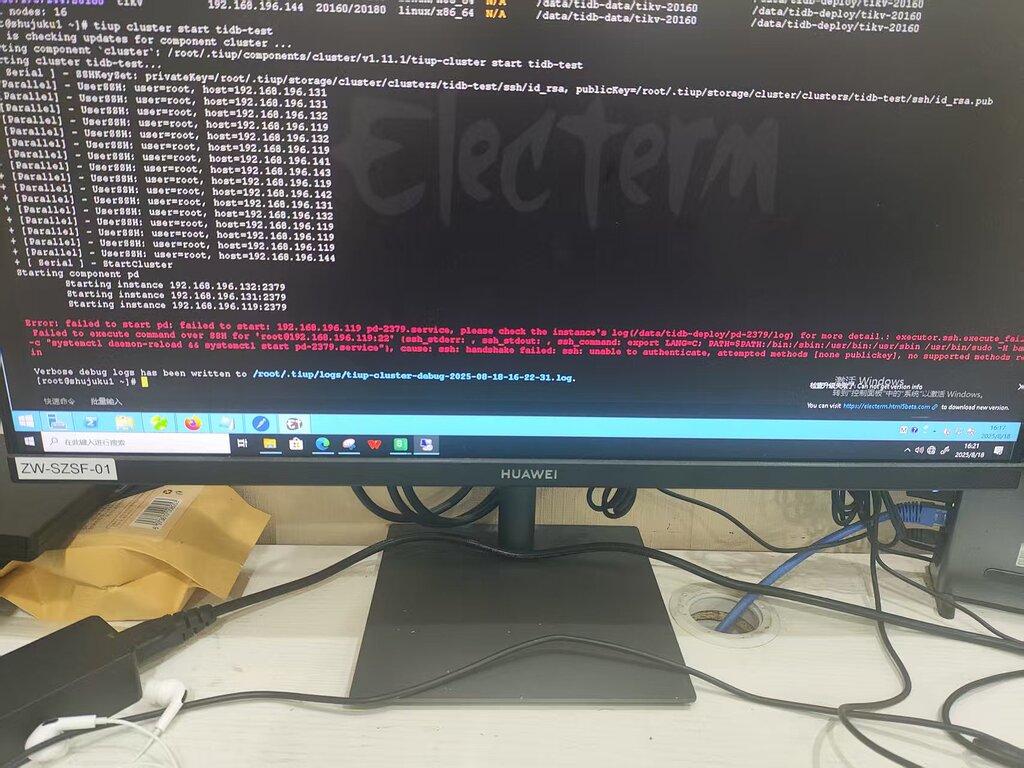 集群启动失败 - TiDB 的问答社区