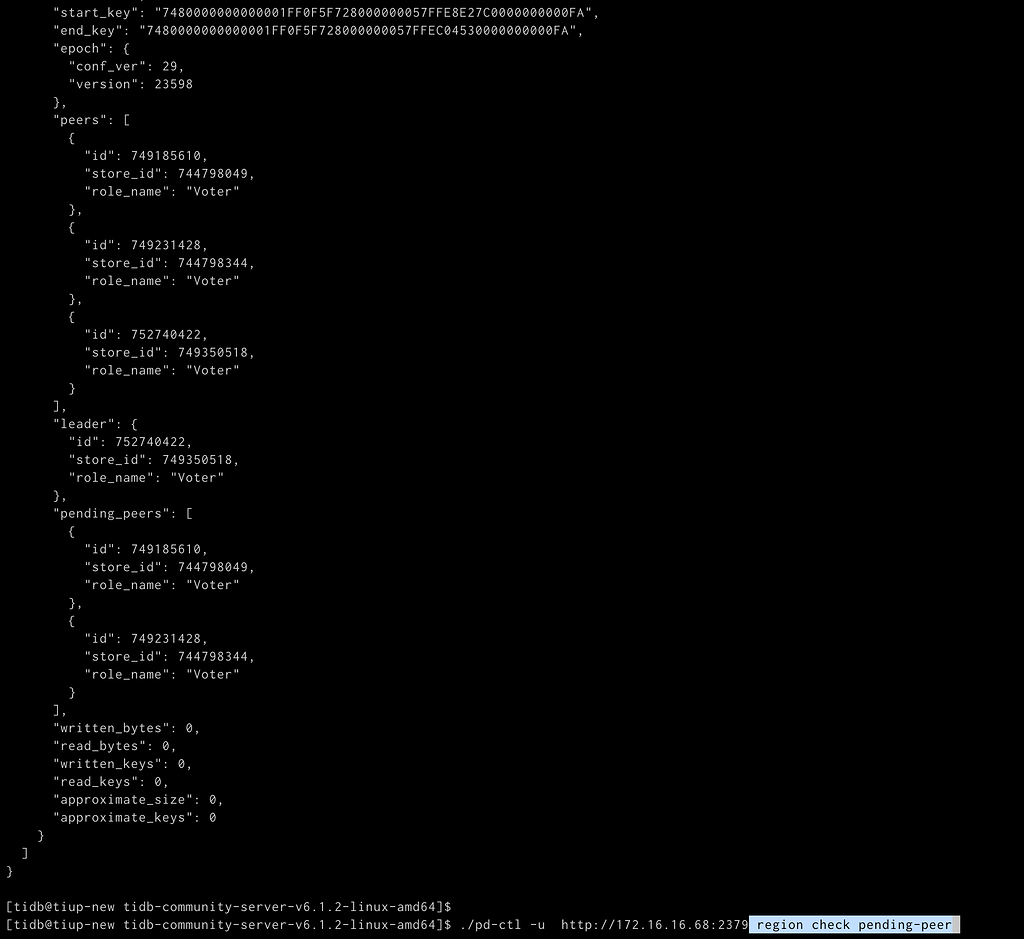 tidb tikv scale-in后scale-out大量报错 pending-peer - TiDB 的问答社区