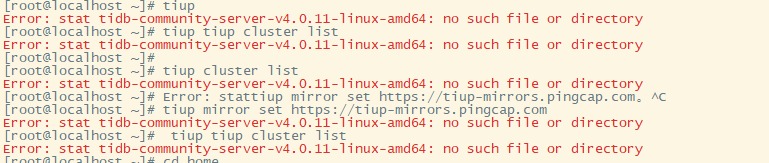 Error: stat tidb-community-server-v4.0.11-linux-amd64: no such file or directory | tiup前几日正常使用 ...