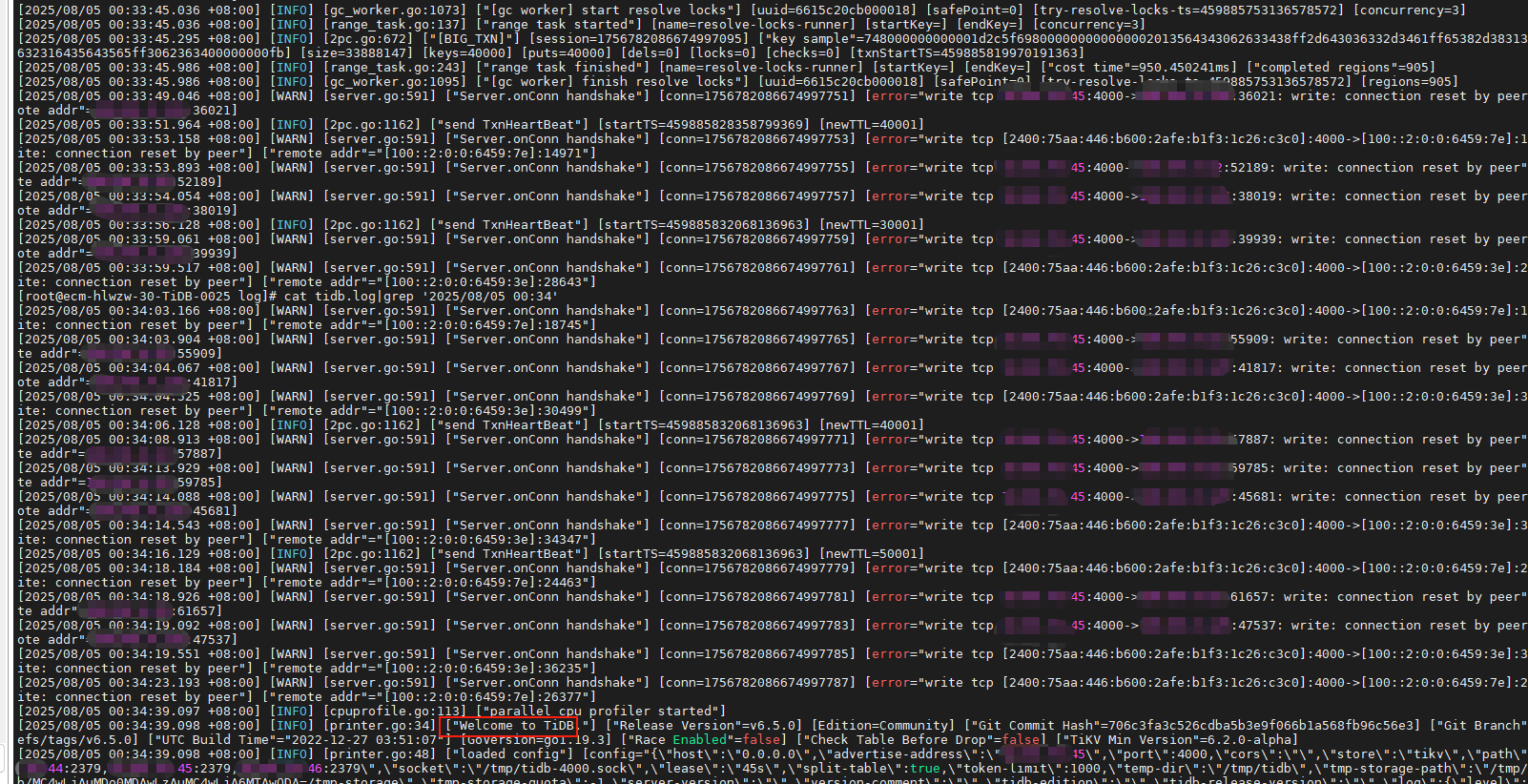 TIDB-SERVER 发生重启 - TiDB 的问答社区